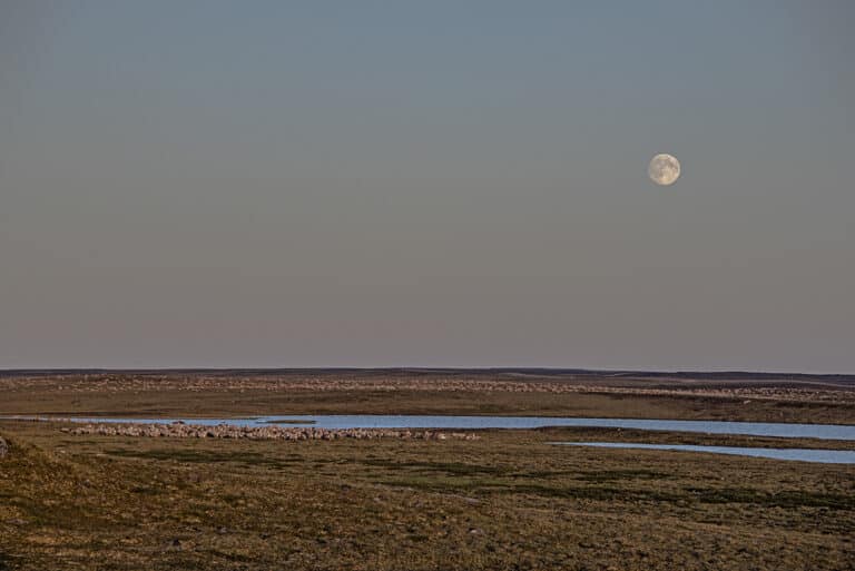 Kivalliq Inuit Association